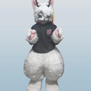 Fursuit Lower Body Pants,furry Custom Fursona Fursuit Leg Closplay ...