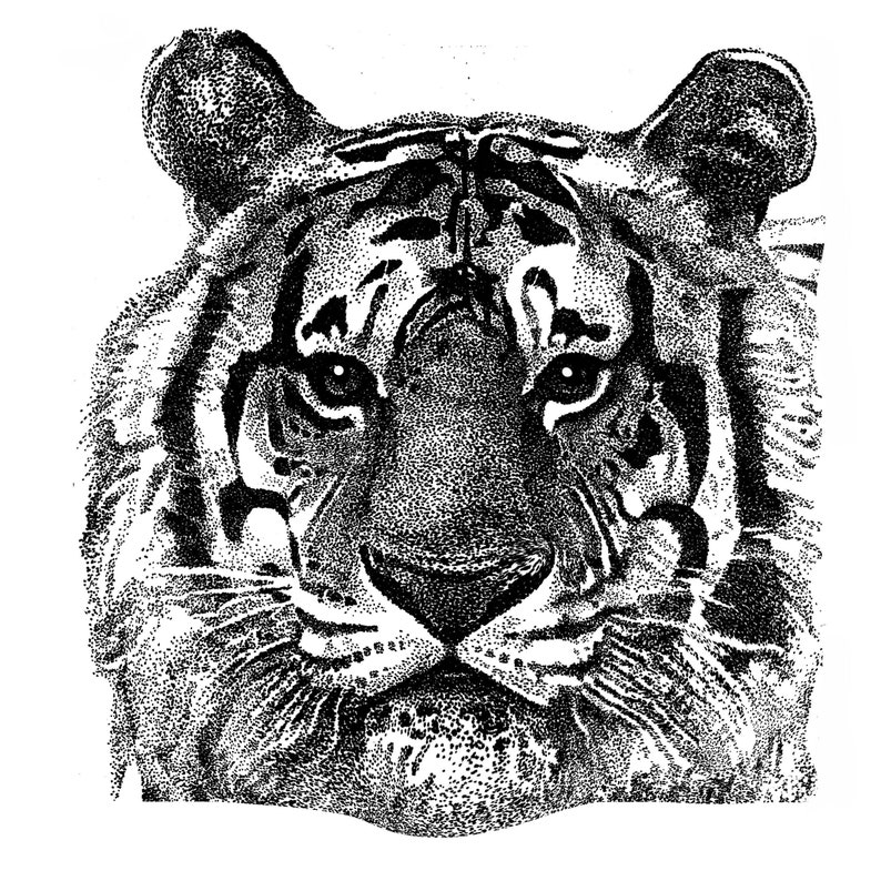 Hand Drawn Tiger Drawing Stippling Digital Art Print Downloadable, Pen ...