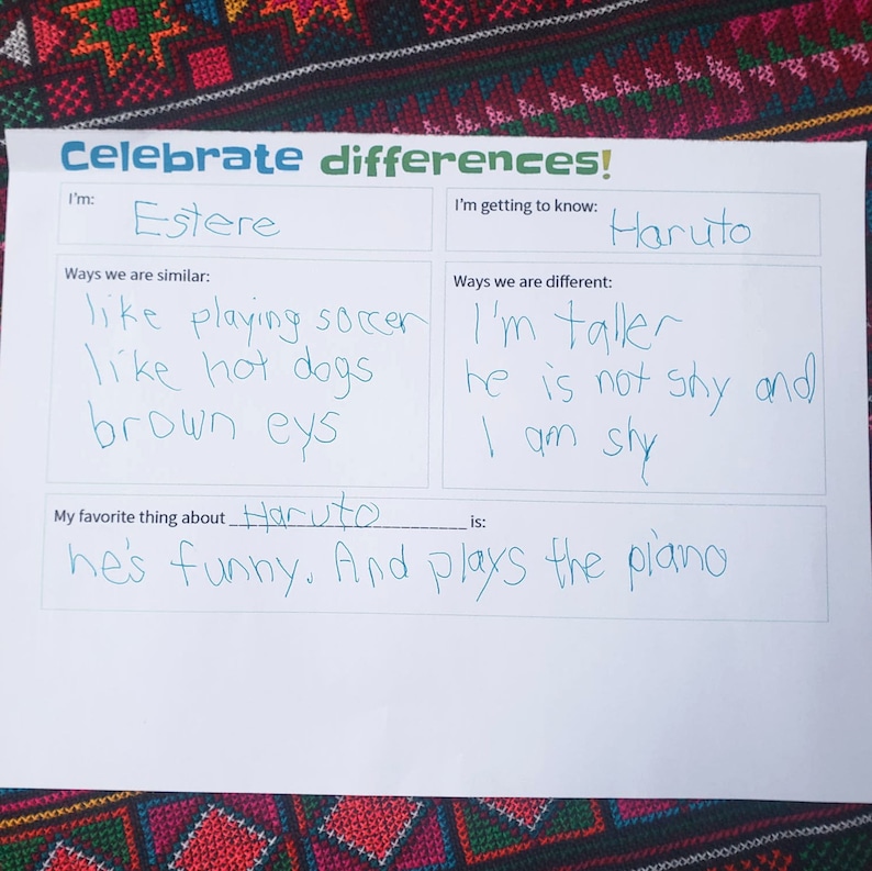 Diversity Bundle, DE&I Vocab, 3 Printable Activities - Etsy