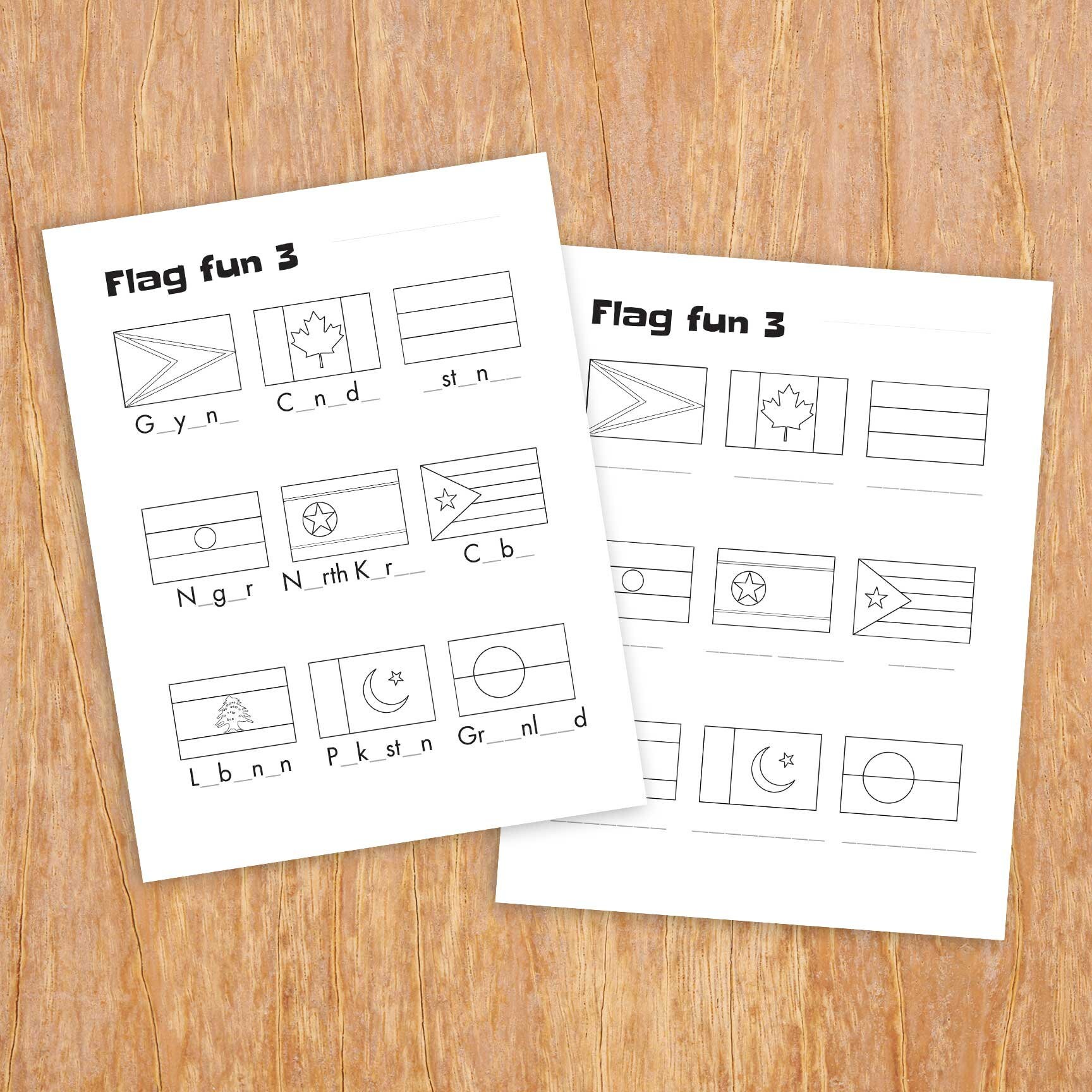 Flag Fun 3, Printable Geography Worksheet - Etsy