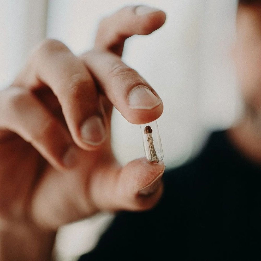 Microdose Coaching for Psilocybin magic Mushrooms 60 Minute Call - Etsy