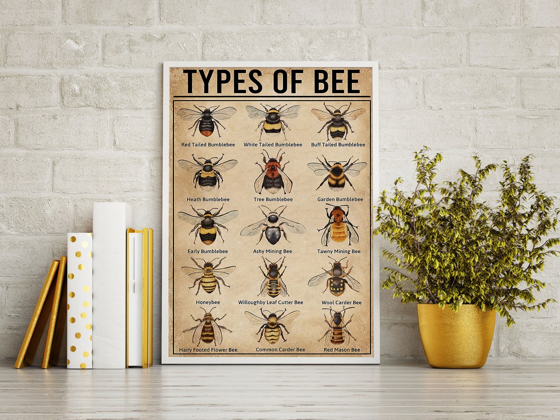 Types of Bee Poster/ Bee Poster/ Bee Lover/honey Bee - Etsy