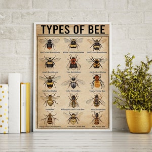 Types of Bee Poster/ Bee Poster/ Bee Lover/honey Bee Lover/vertical ...