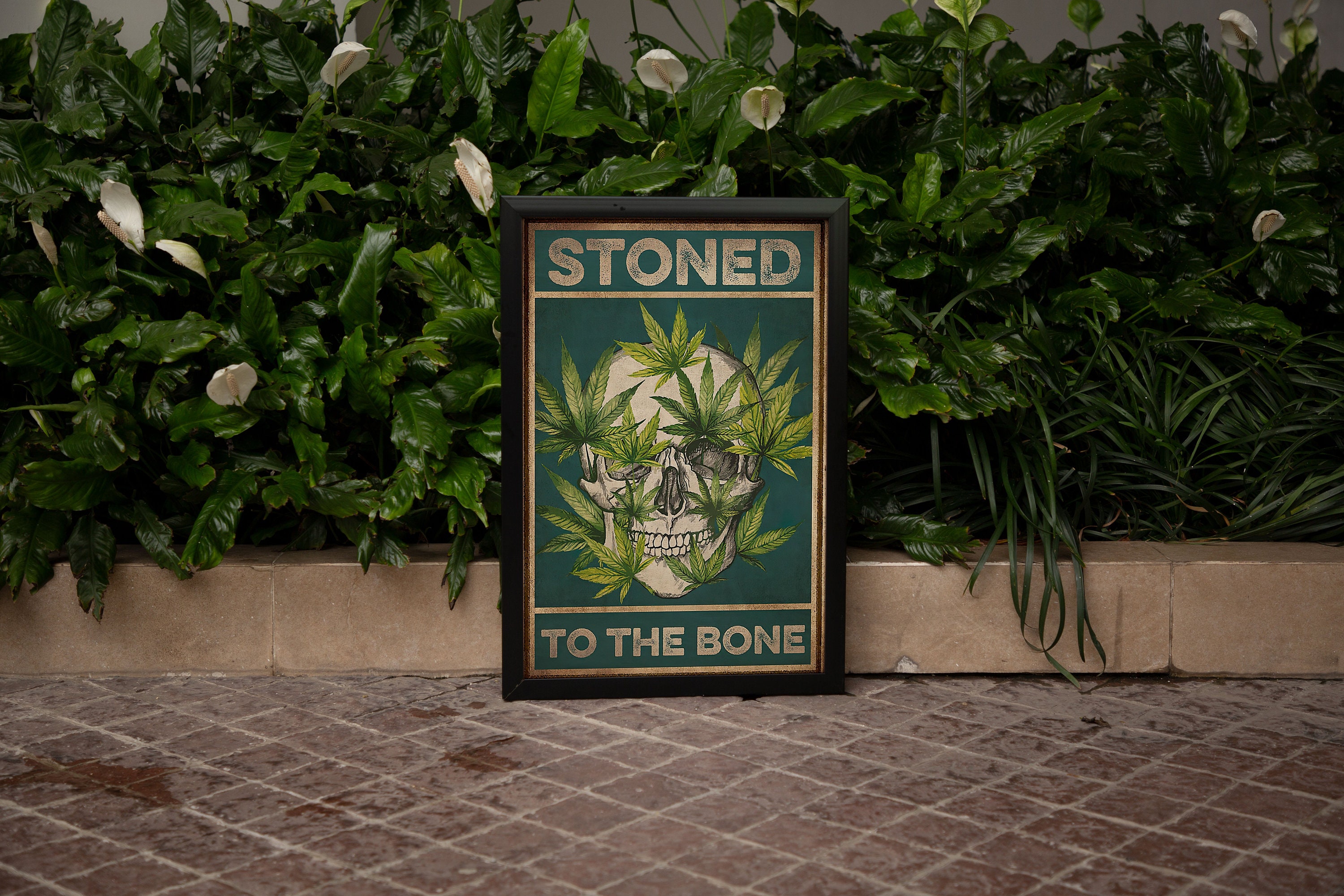 Stoned To The Bone Poster/Vintage Cannabis Poster/ Marijuana | Etsy