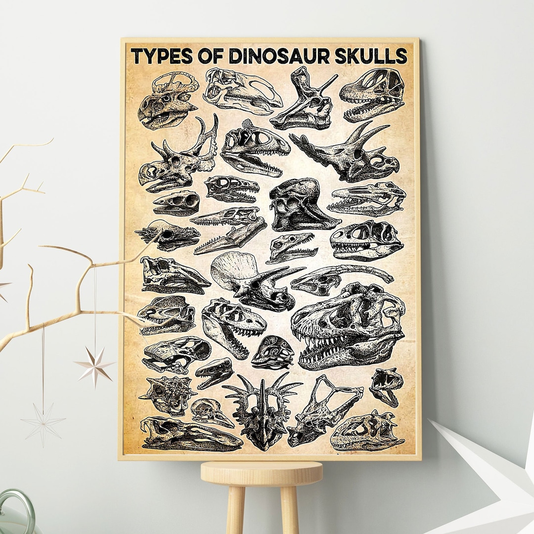 Types of Dinosaur Skull Print/dinosaur Poster/ Dinosaur Wall Art/boys ...