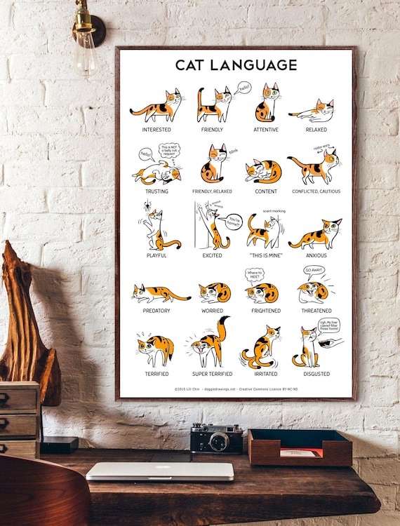 Cat Language Poster Cat Printable Wall Art Cats Sketch Art - Etsy