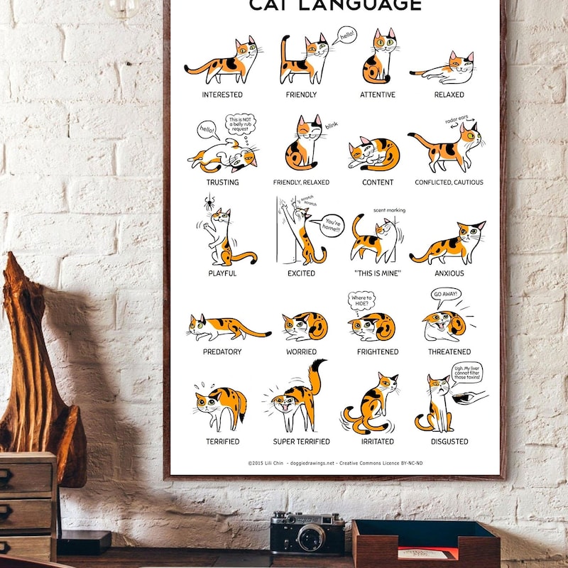 Cat Poster - Etsy