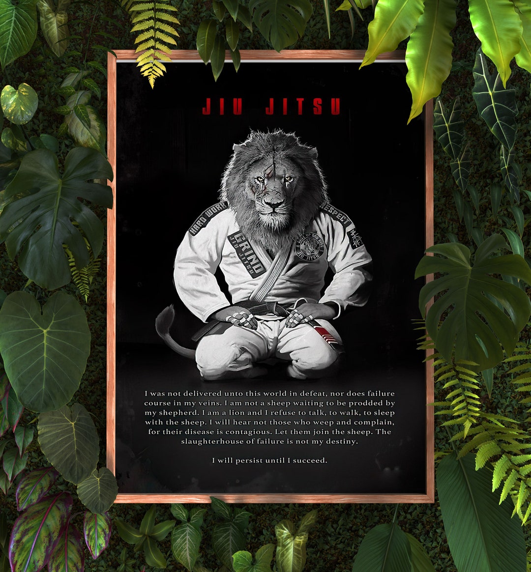 Brazilian Jiu Jitsu Poster, Martial Arts Poster, Jiu Jitsu Poster, Jiu ...