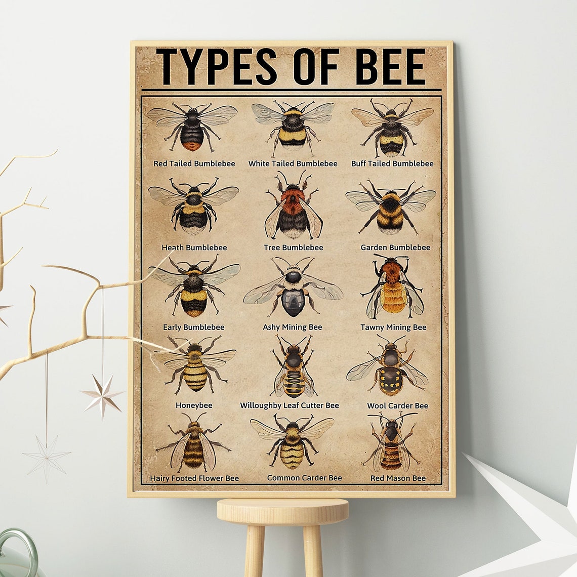 Types of Bee Poster/ Bee Poster/ Bee Lover/honey Bee Lover/vertical ...