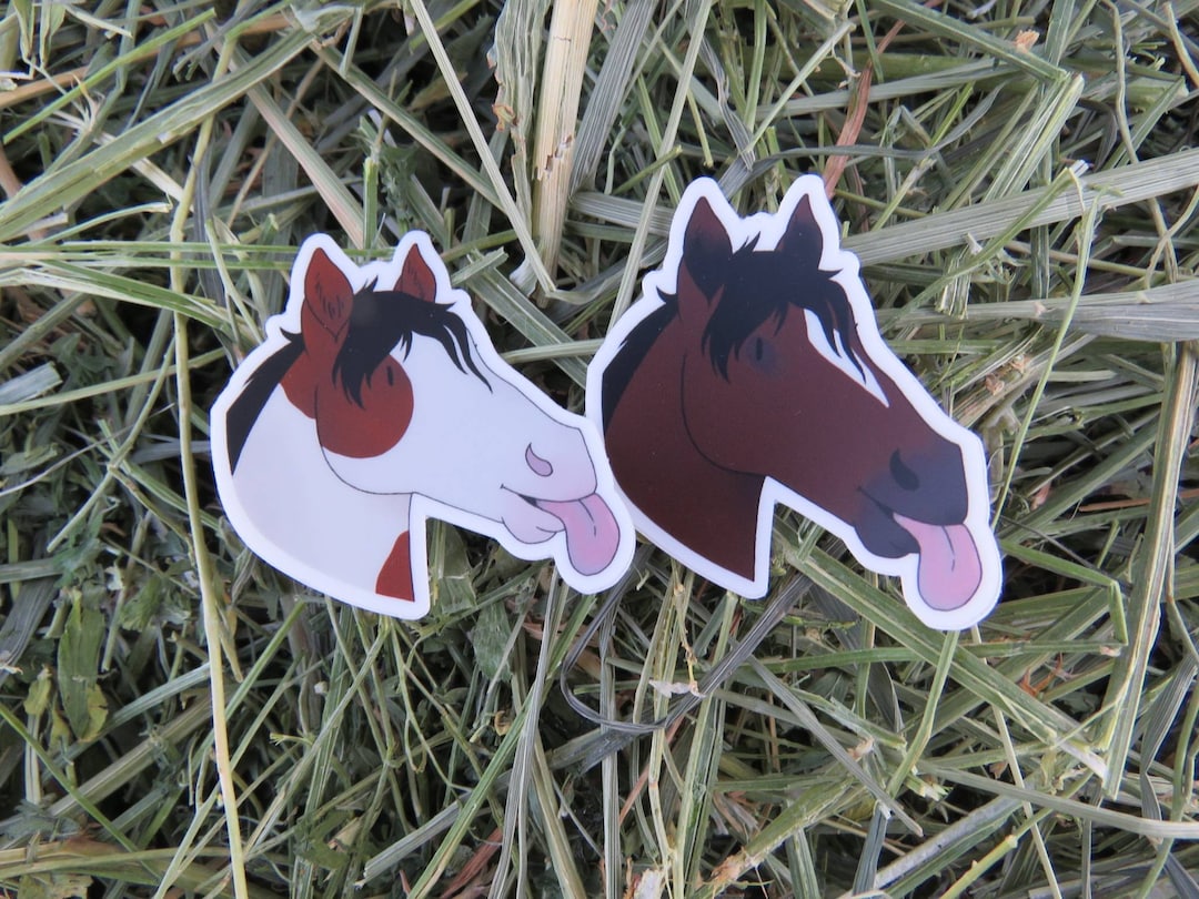 Funny Horse Sticker-waterproof Sticker-cute Horse Sticker-animal ...
