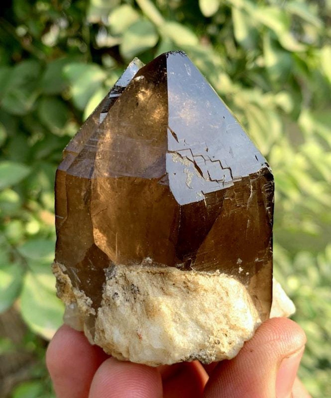 Natural Brown Colour Deep Smokey Quartz Crystal Specimen From Skardu ...