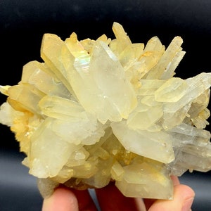 Flower Bunch Shape Quartz With Iron Oxide With Siderite | Crystal ...