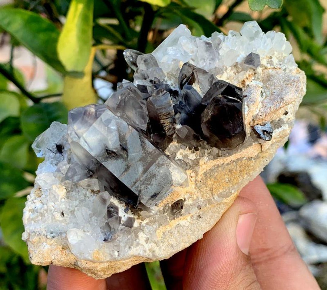 Natural Rare Brookite Included Twins Quartz Crystal From Baluchistan ...