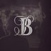 Modern Monogram Logo, Two Letters Logo, Minimalist Wedding Monogram ...