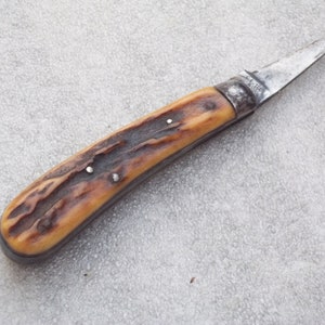 Antique Butler Penknife - Etsy