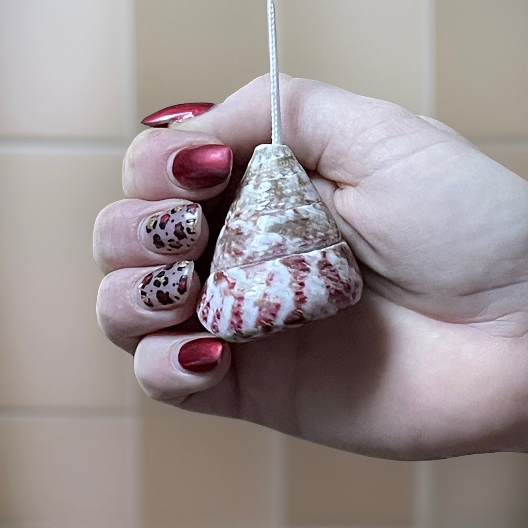 Real Trocha Strawberry Sea Shell Light Pull With Cord & Connector - Etsy