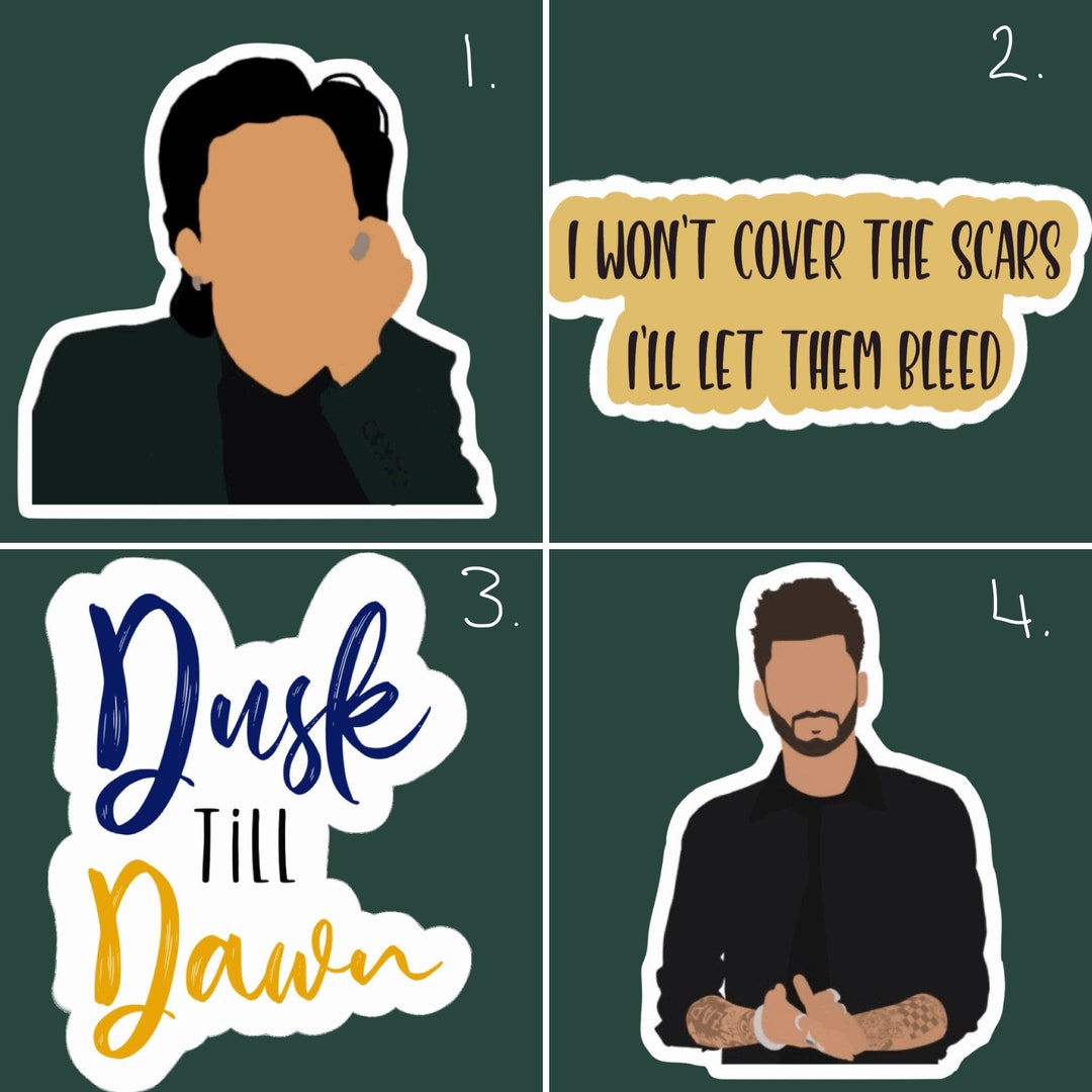 Zayn Malik Inspired Deco Stickers Glossy Stickers - Etsy