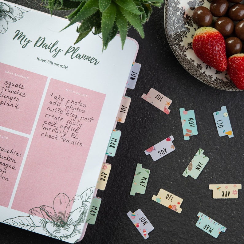 Monthly Tabs for Planner Stickers 12 Month Tabs and 12 Blank | Etsy