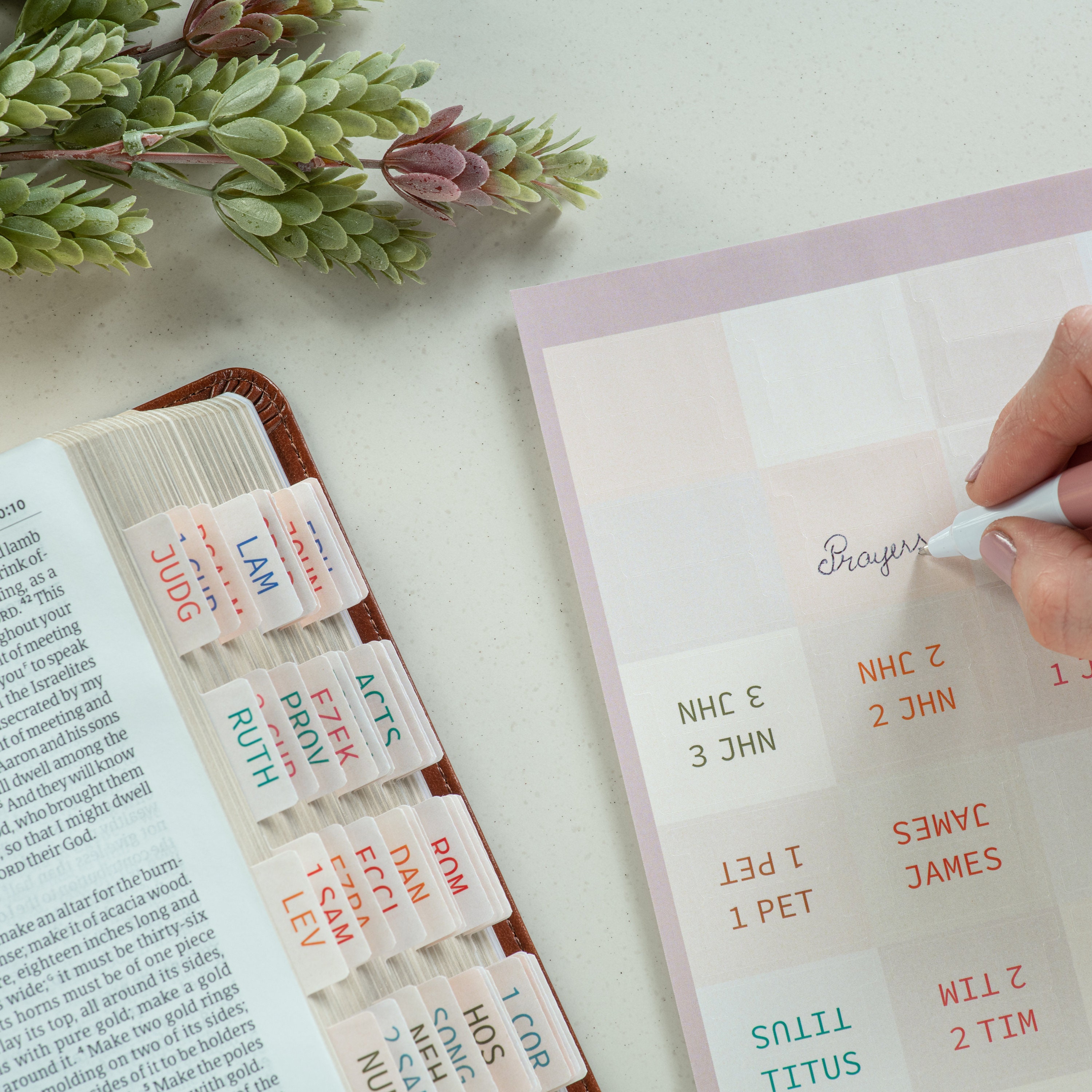 Laminated Bible Tabs With Adhesive easy to Read Easy to - Etsy