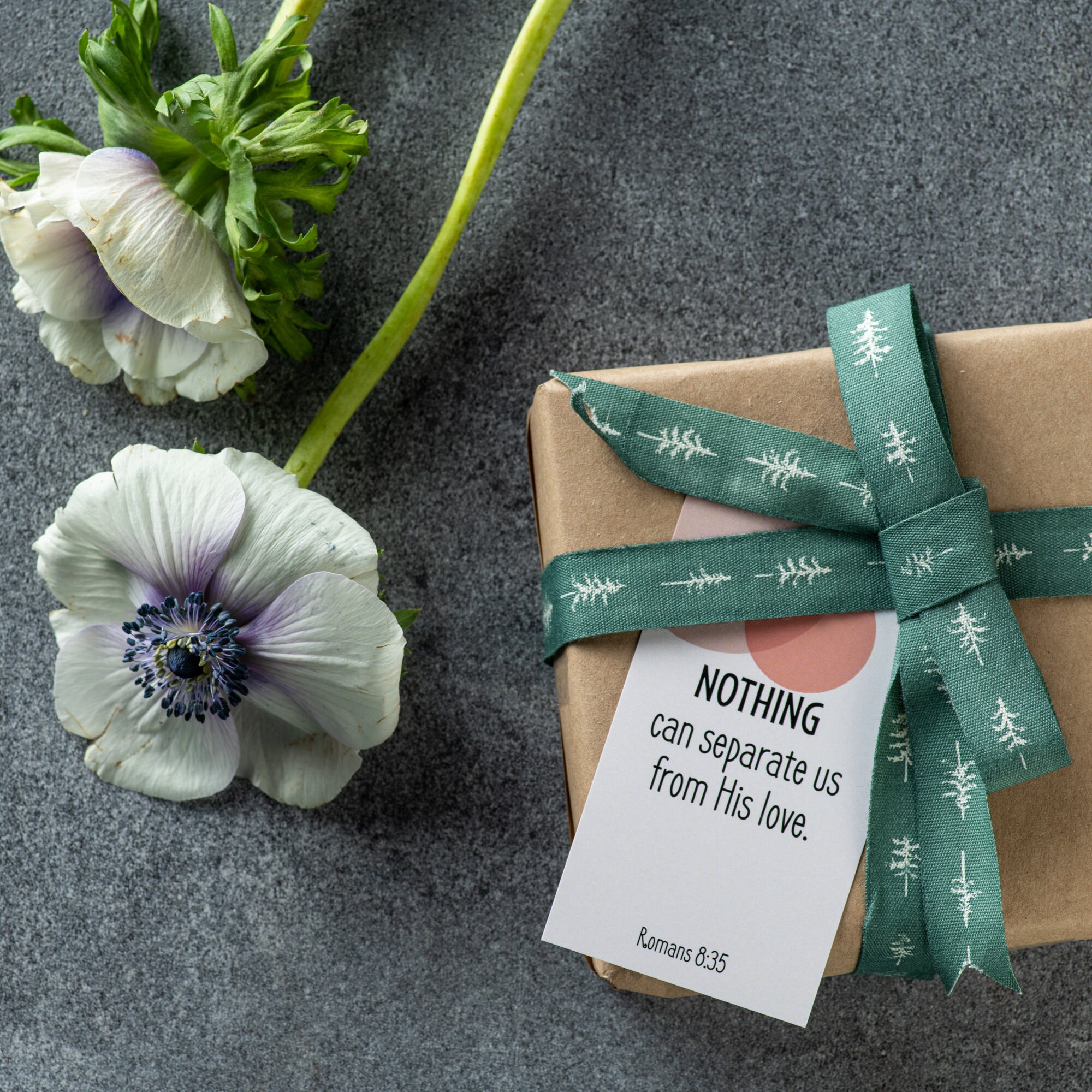 60 Unique Bible Verse Cards: Mini Scripture Cards, Inspirational Quotes ...