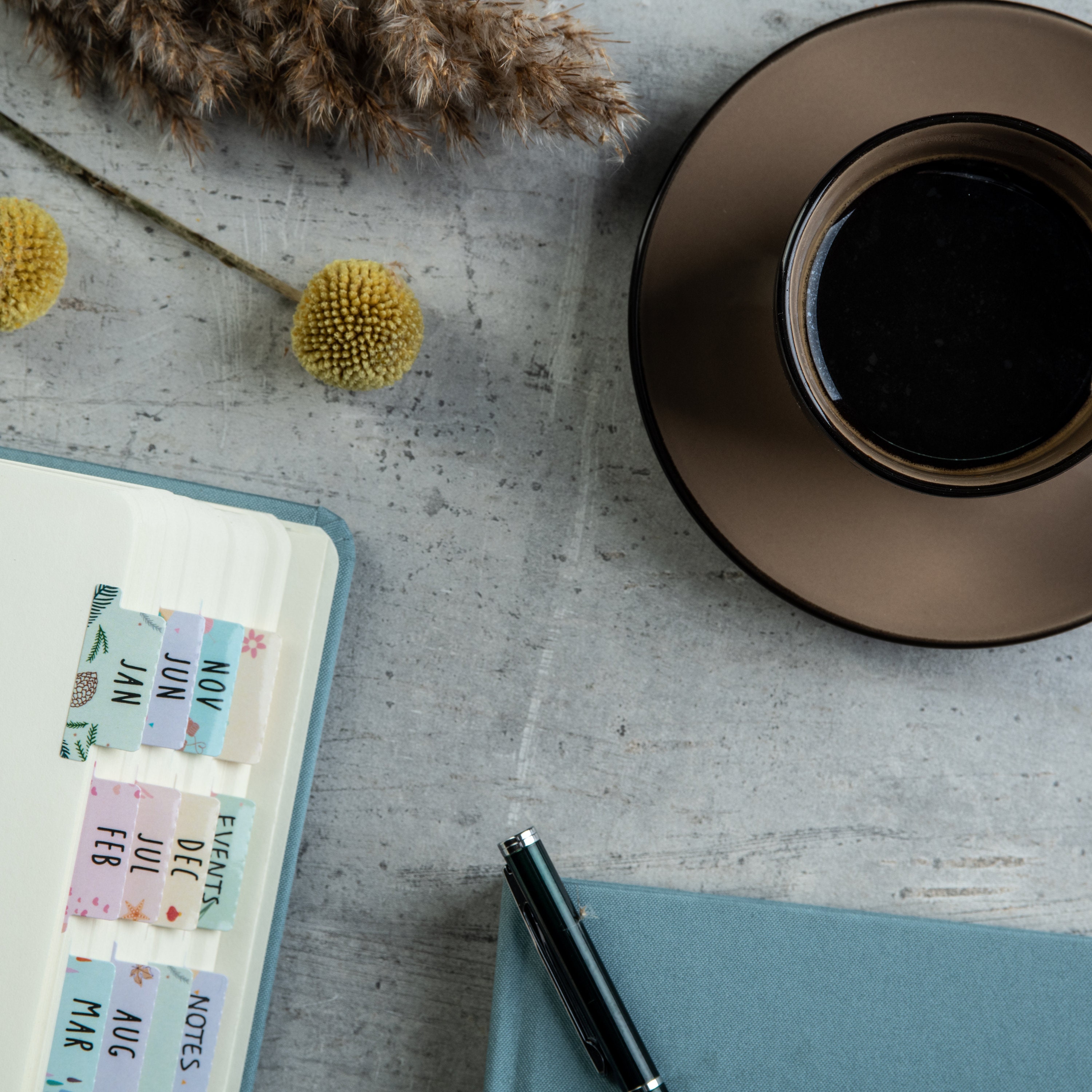 Monthly Tabs for Planner Stickers 12 Month Tabs and 12 Blank | Etsy