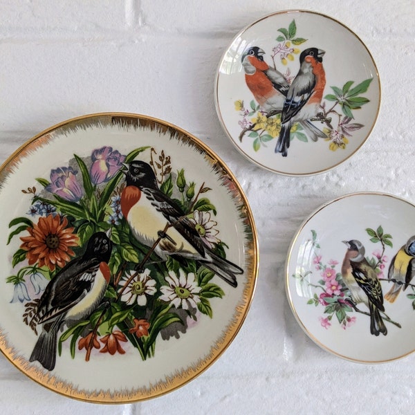 Bird Wall Plates - Etsy