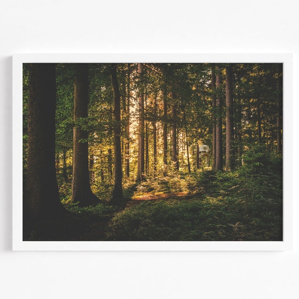 Subtle Starwars Art - Etsy