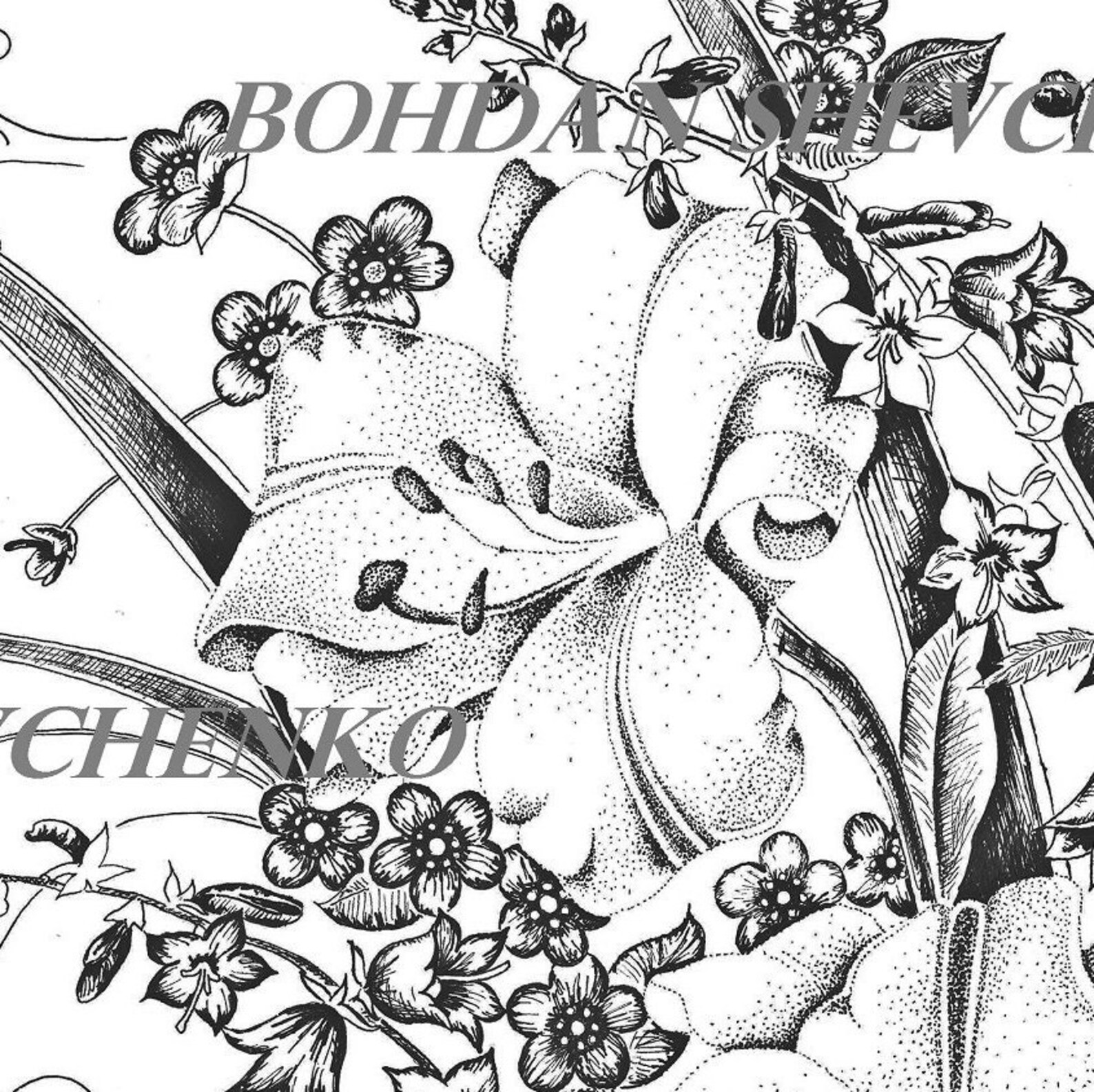 Printable Pen and Ink Drawing Digital Floral Drawing Black - Etsy