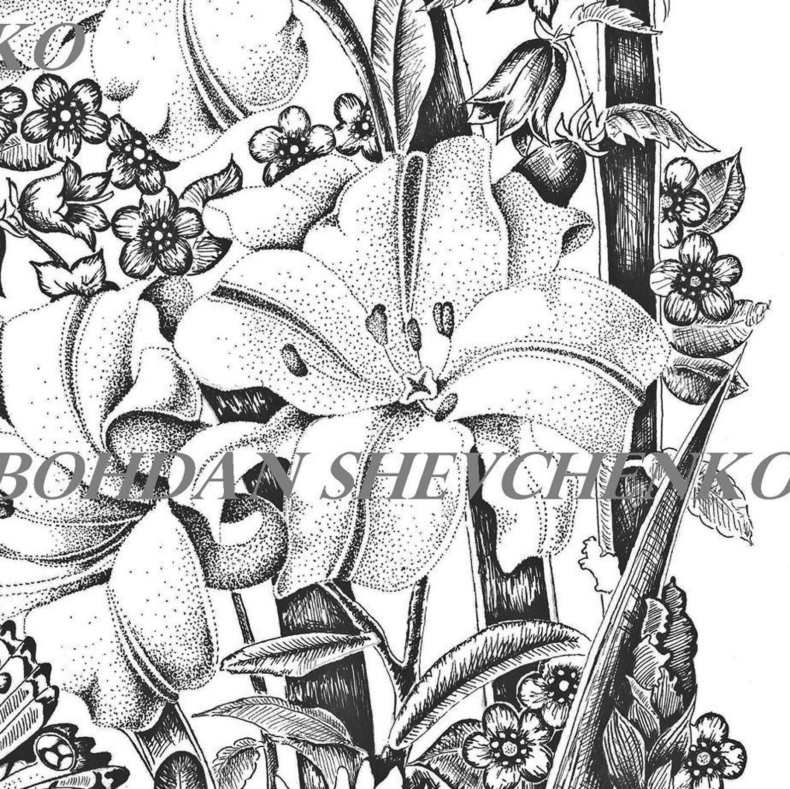 Printable Pen and Ink Drawing Digital Floral Drawing Black - Etsy
