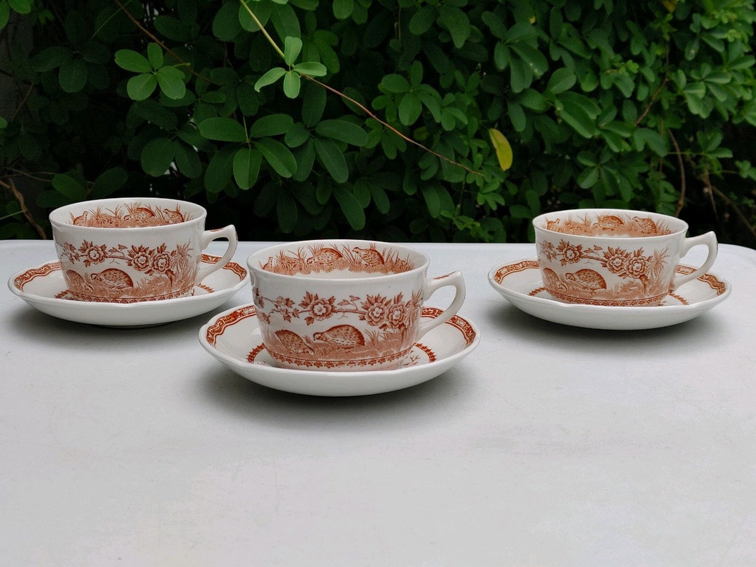 Furnivals Brown Quail Tea Cups and Saucers Set of 3 / Made in England ...
