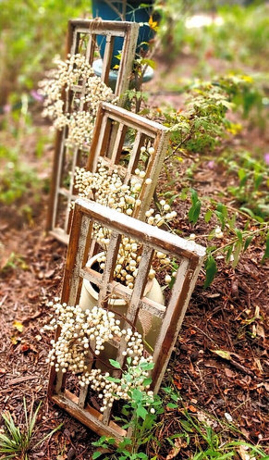 Three Boho Botanical Windows With 3 Pip Berry Cream Wreaths, Arch ...