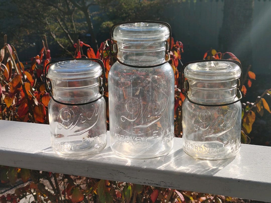 1920s DREY IMPROVED Ever Seal Jars With Glass Tops and Wire Bail / Set ...
