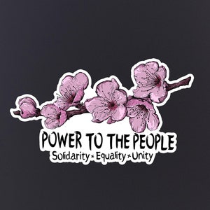 Solidarity Forever Sticker, Equality, Socialism, Laptop Skin, Laptop ...