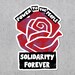 Solidarity Forever Sticker Solidarity Marxism Leftist - Etsy