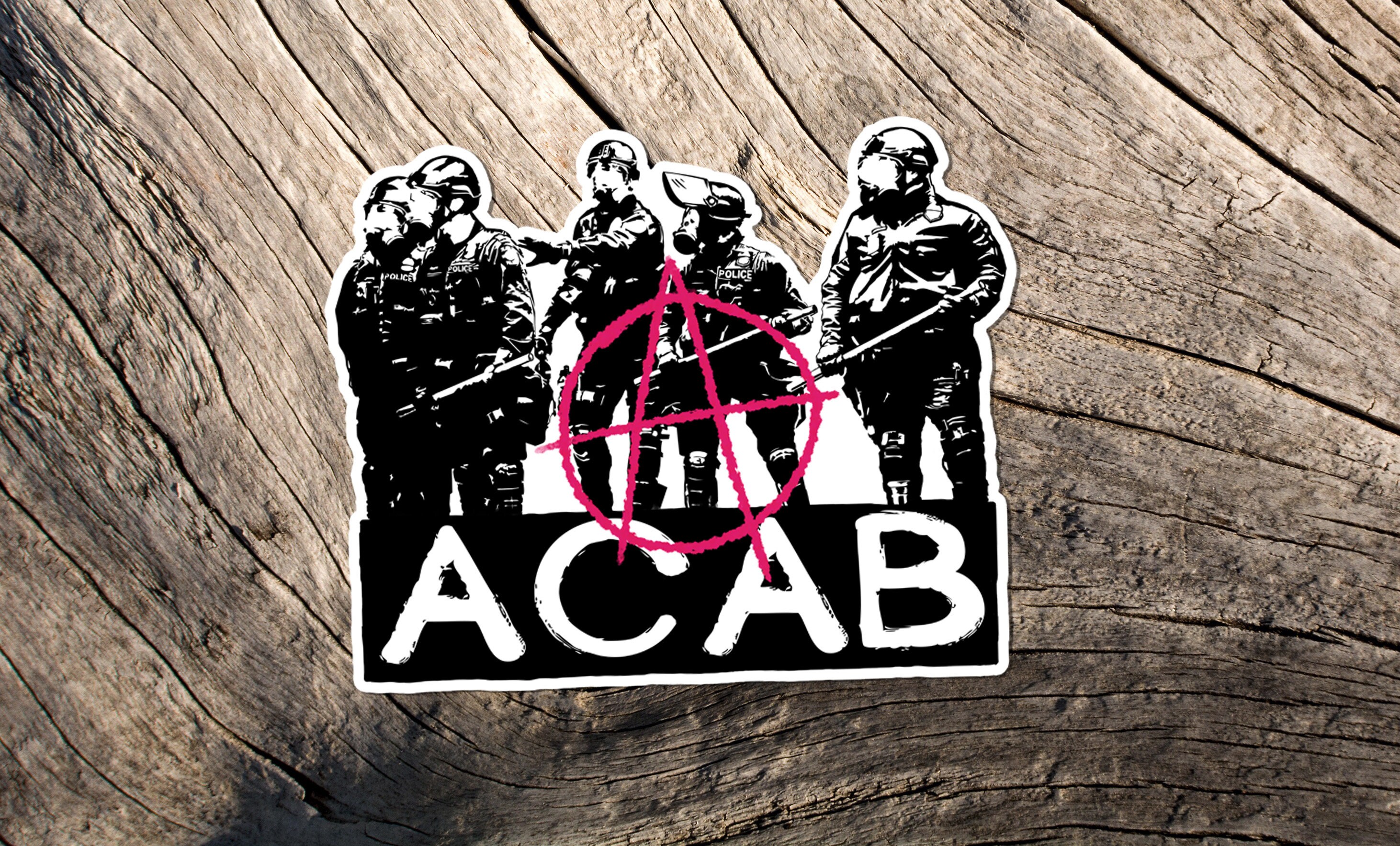 ACAB Sticker, Vinyl Stickers, Socialism, Revolution, Leftist, Anarchy ...
