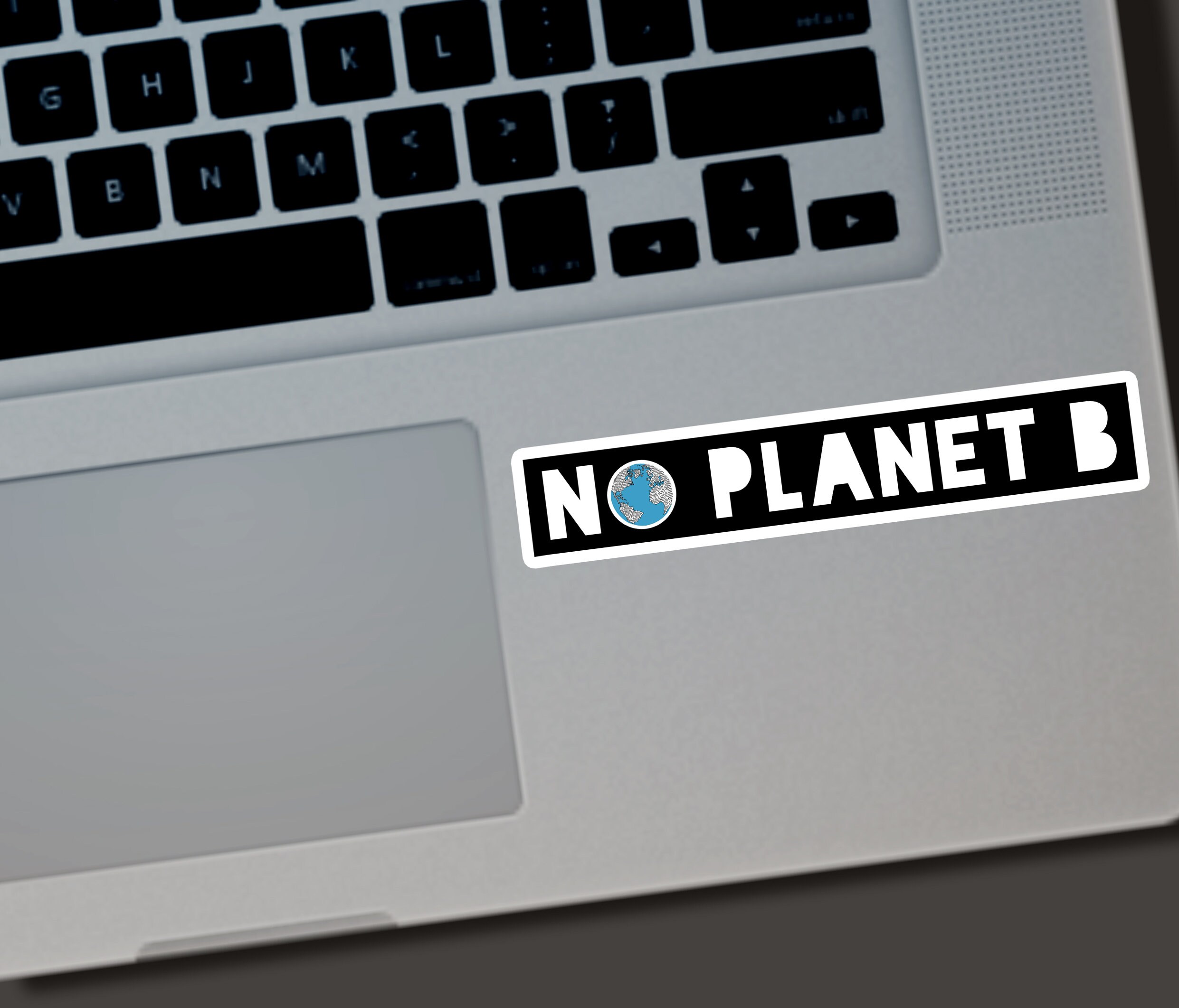 No Planet B Sticker Rights Vinyl Sticker Environment - Etsy