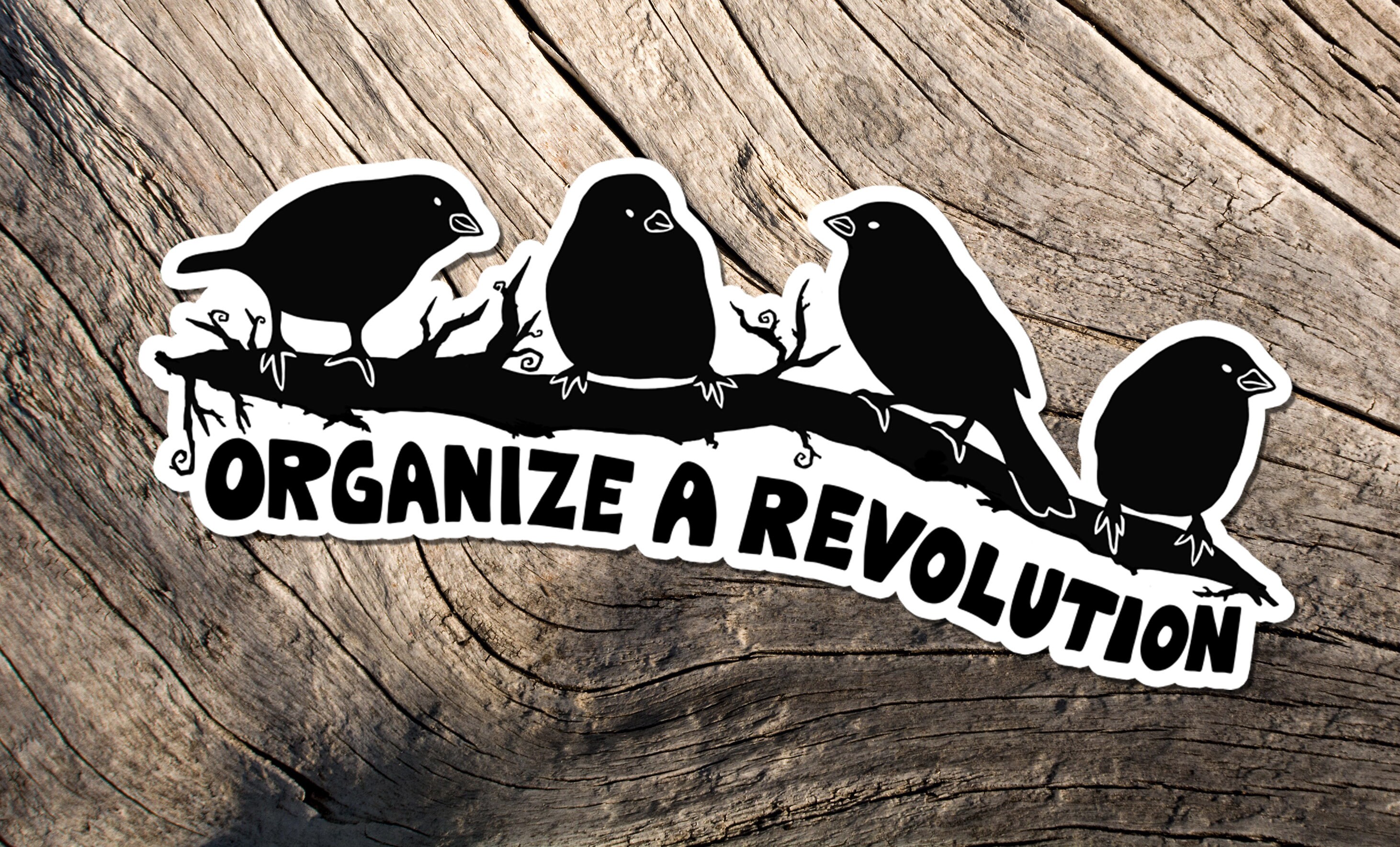 Organize A Revolution Sticker Solidarity Leftist Socialist - Etsy