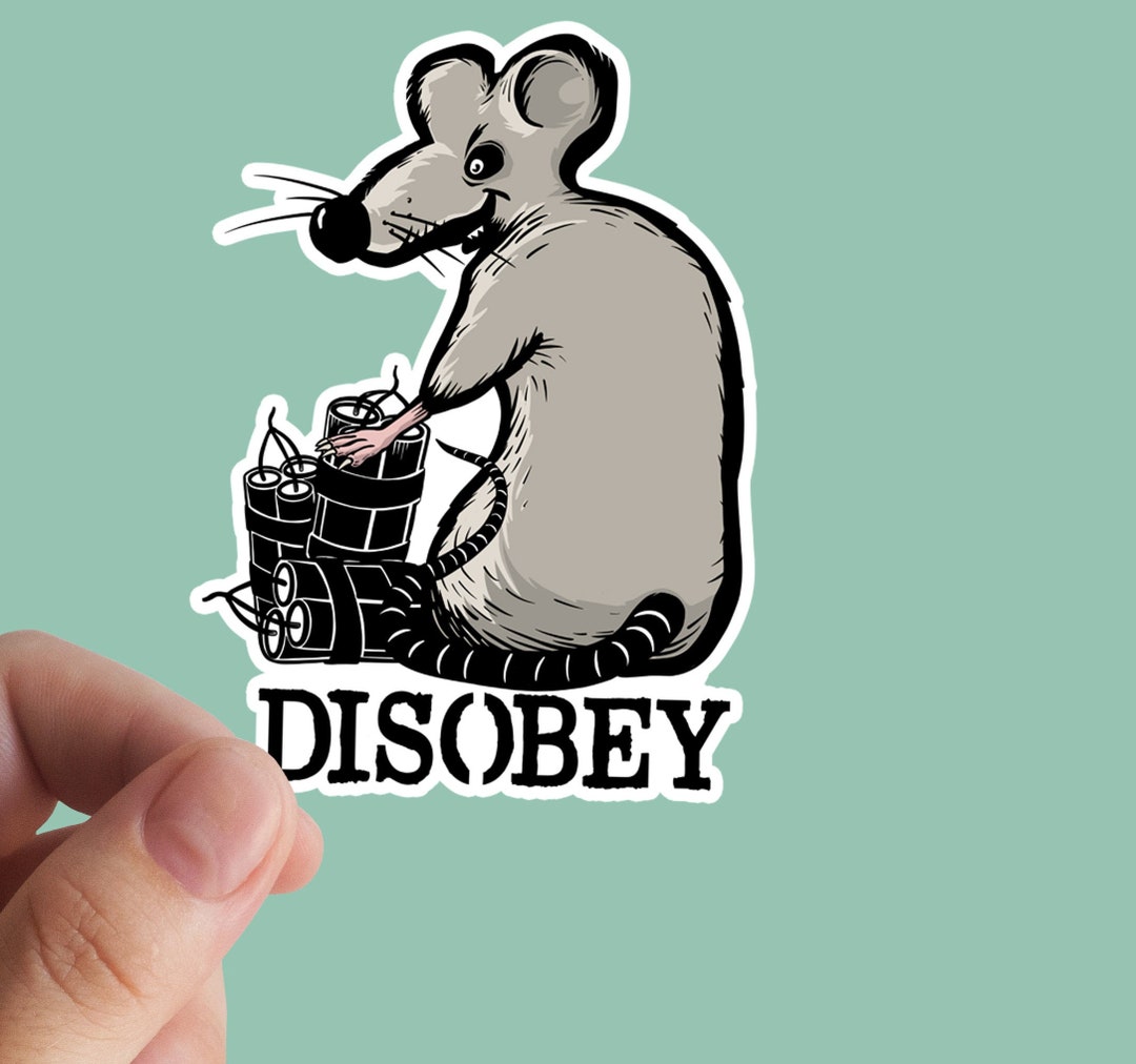 Disobey Sticker, Anarchy, Punk, Anarchist, Anticapitalism, Leftist ...
