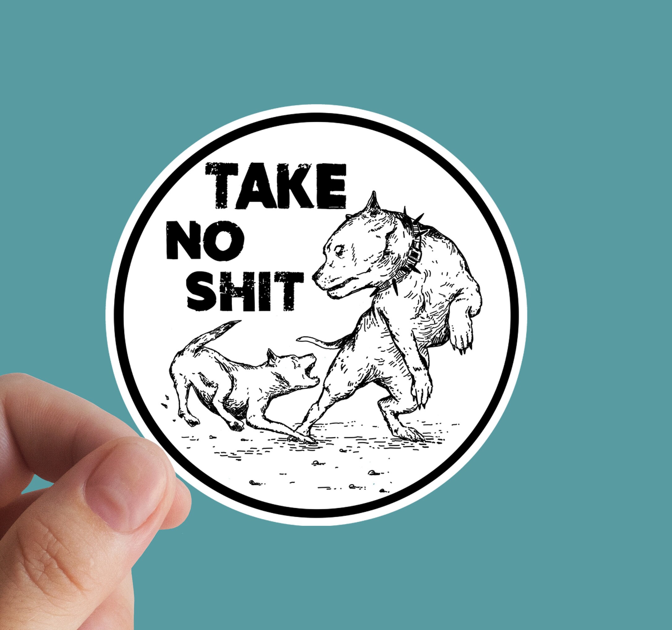 Take No Shit Sticker Vinyl Stickers Anti Bullying Take No | Etsy