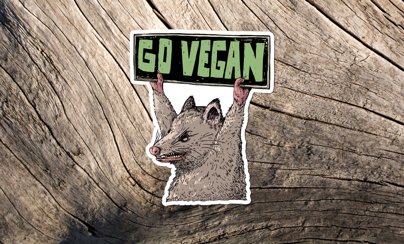 Vegan Sticker, Veganism, Vegan, Vinyl Sticker, Vegetarian, Stickers ...