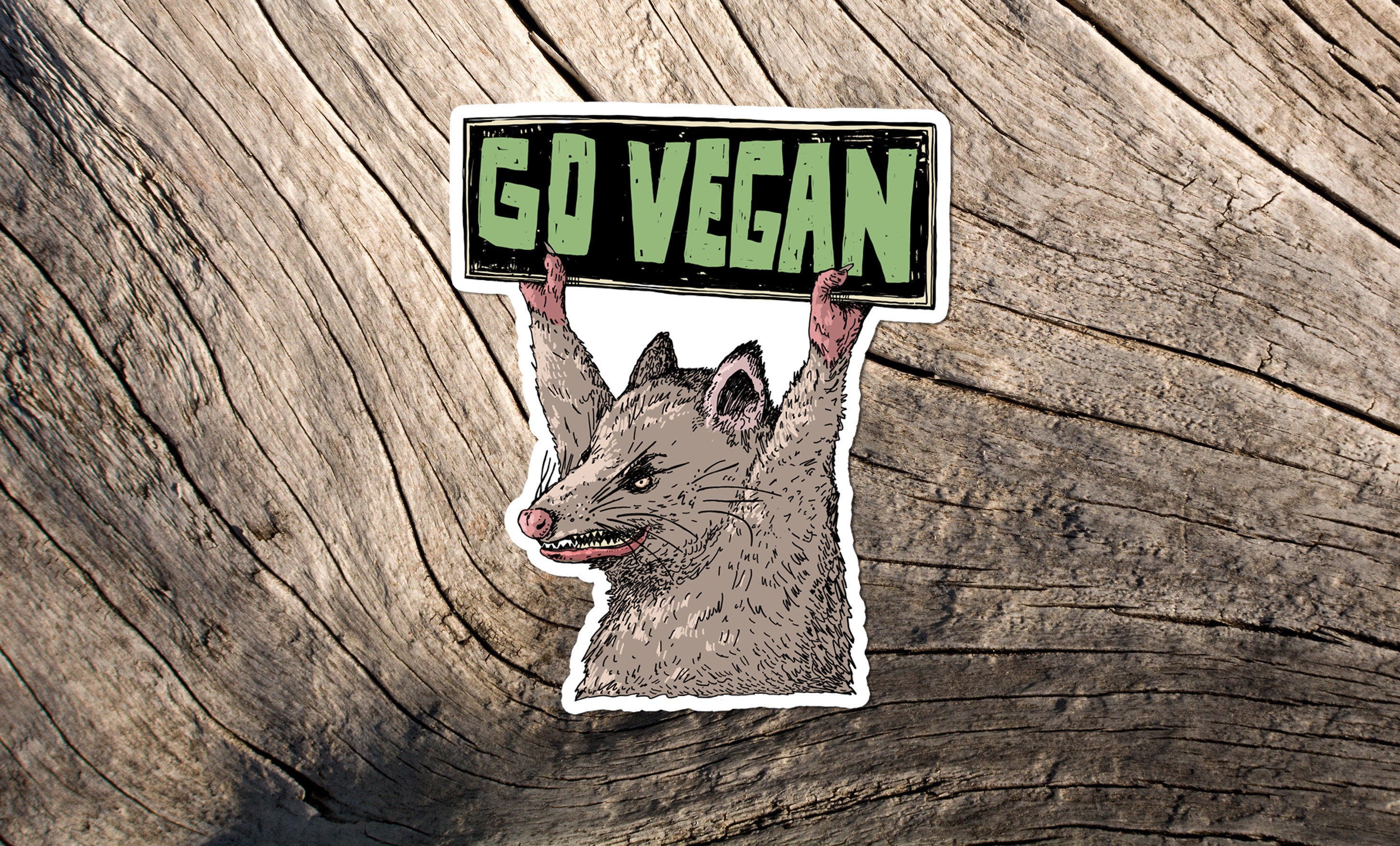Vegan Sticker Veganism Vegan Vinyl Sticker Vegetarian - Etsy