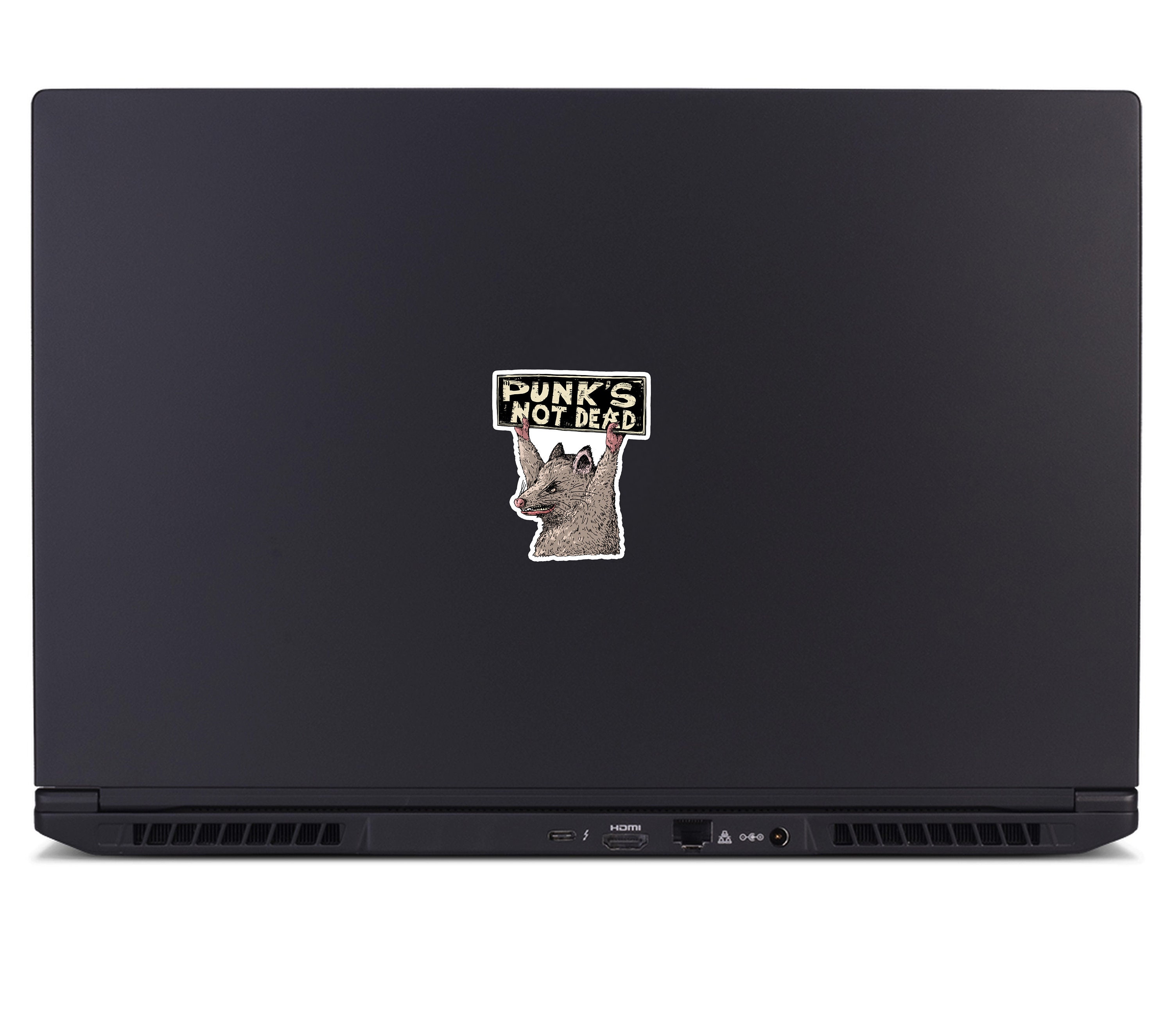 Punks Not Dead Sticker Anarchy Punk Anarchist Punk Rock - Etsy