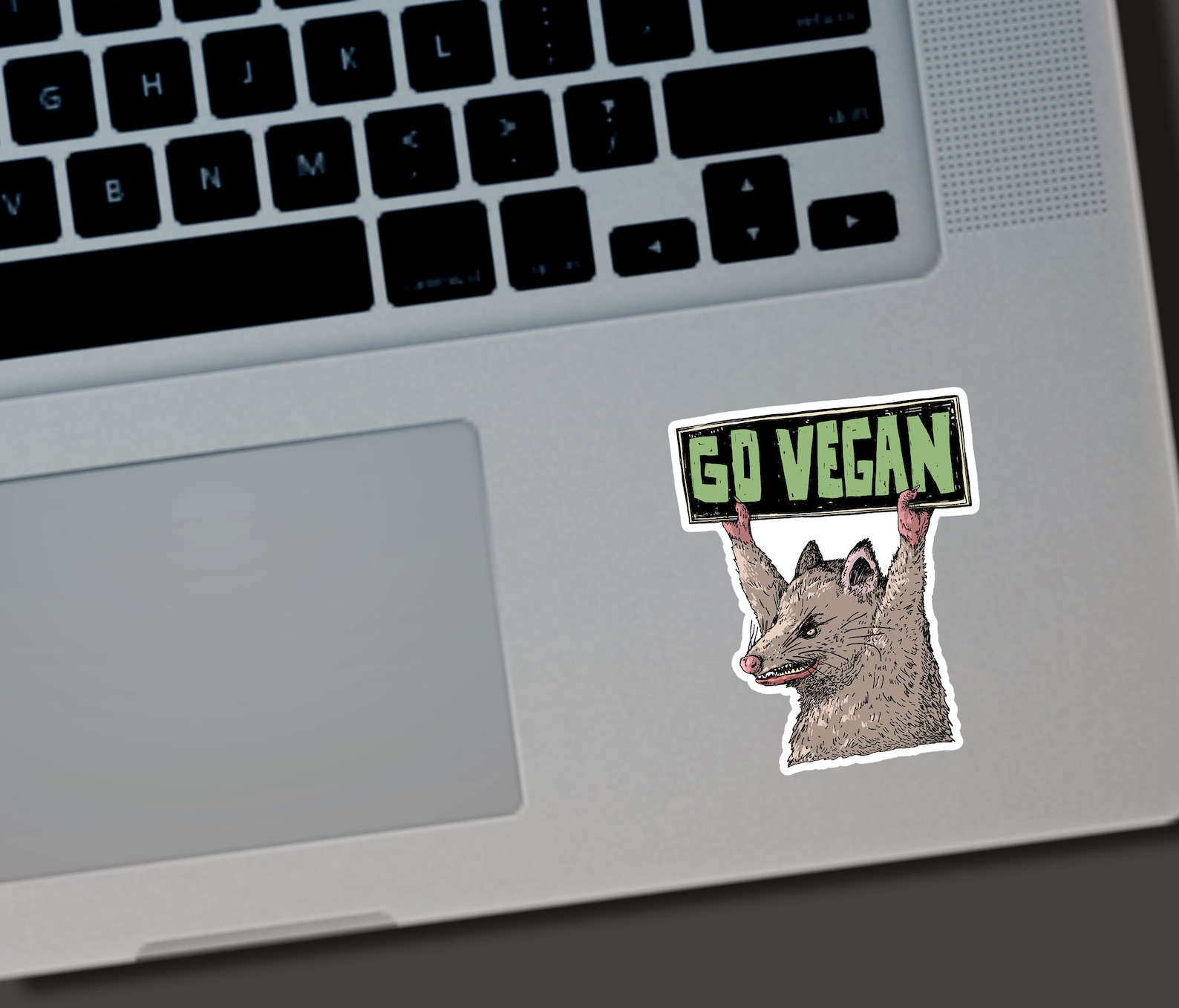 Vegan Sticker, Veganism, Vegan, Vinyl Sticker, Vegetarian, Stickers ...