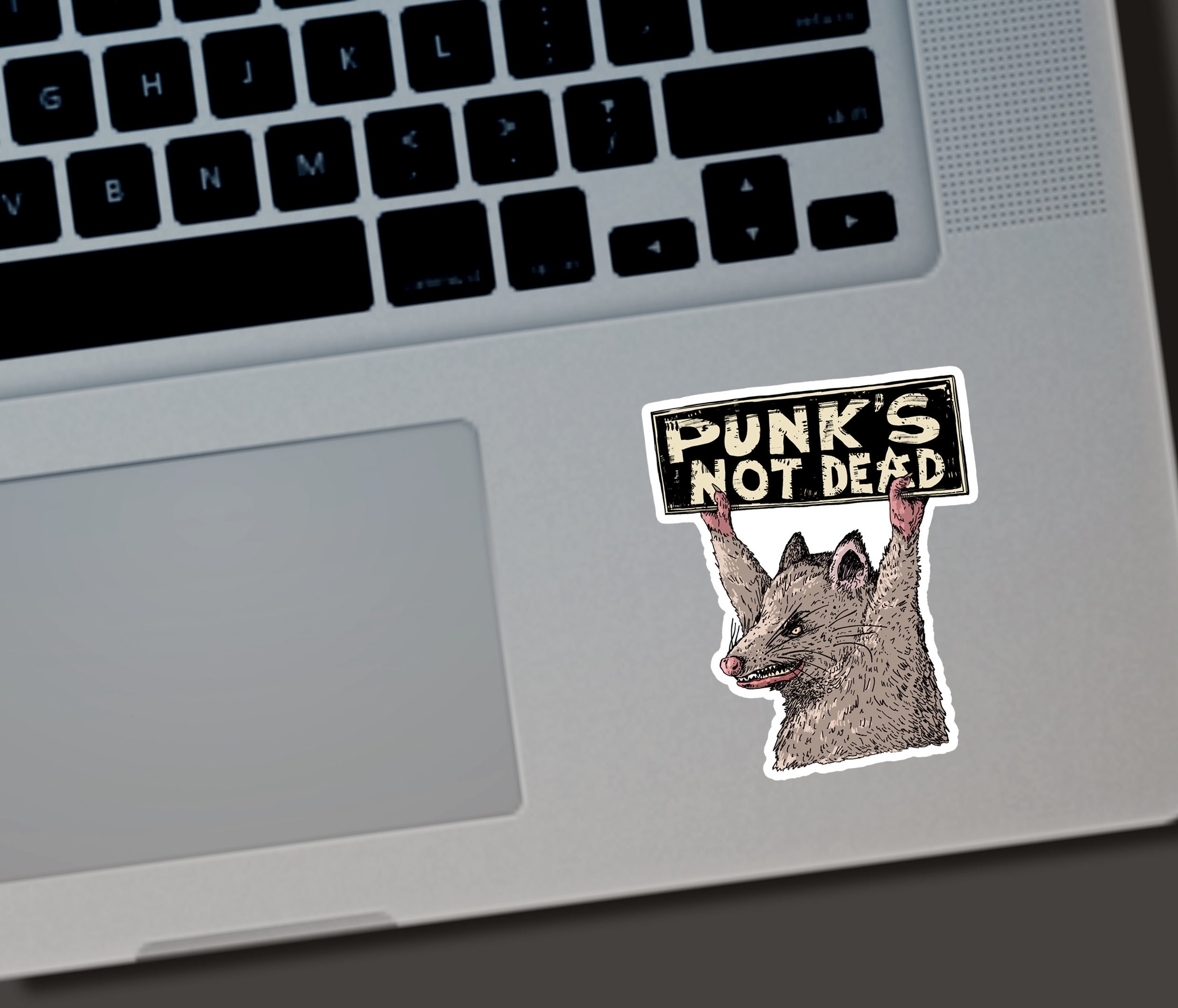 Punks Not Dead Sticker Anarchy Punk Anarchist Punk Rock - Etsy