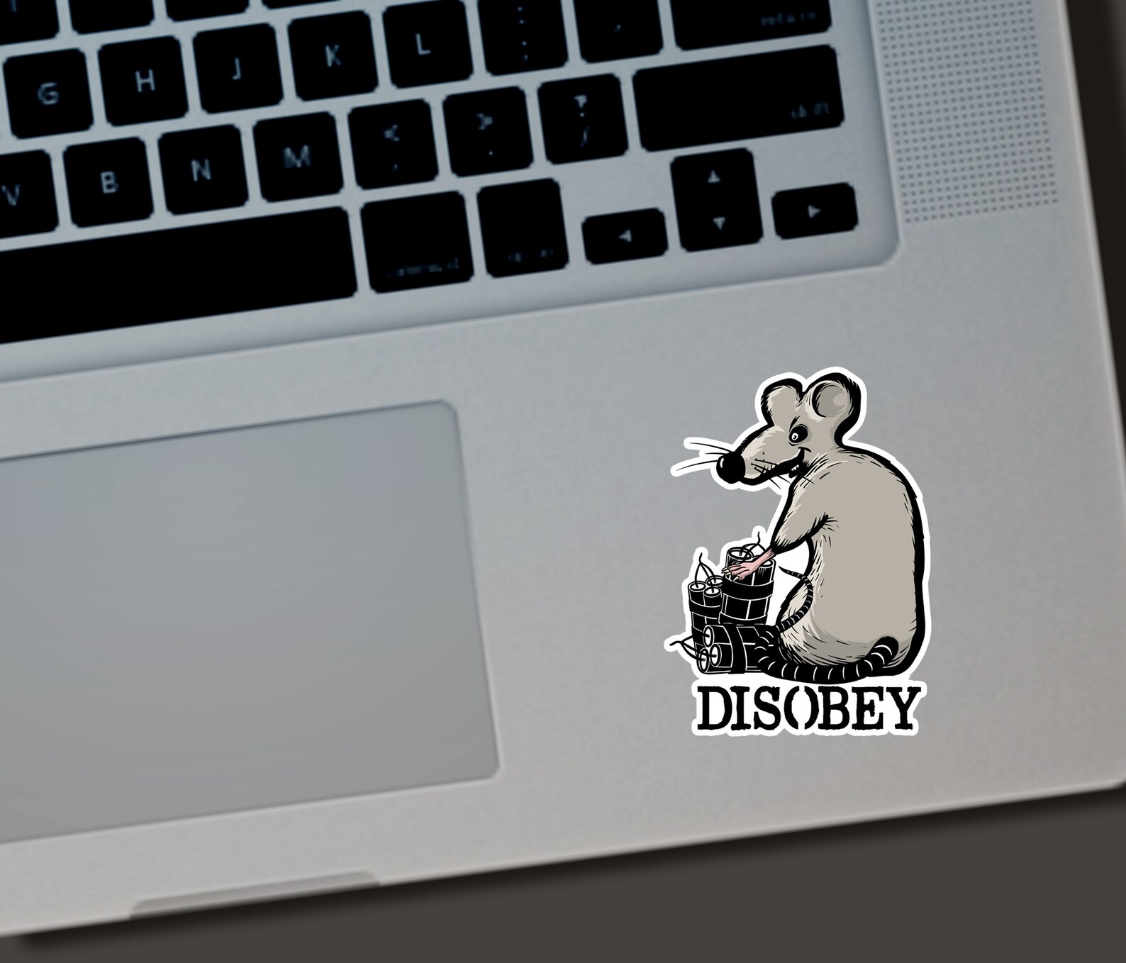 Disobey Sticker Anarchy Punk Anarchist AntiCapitalism | Etsy