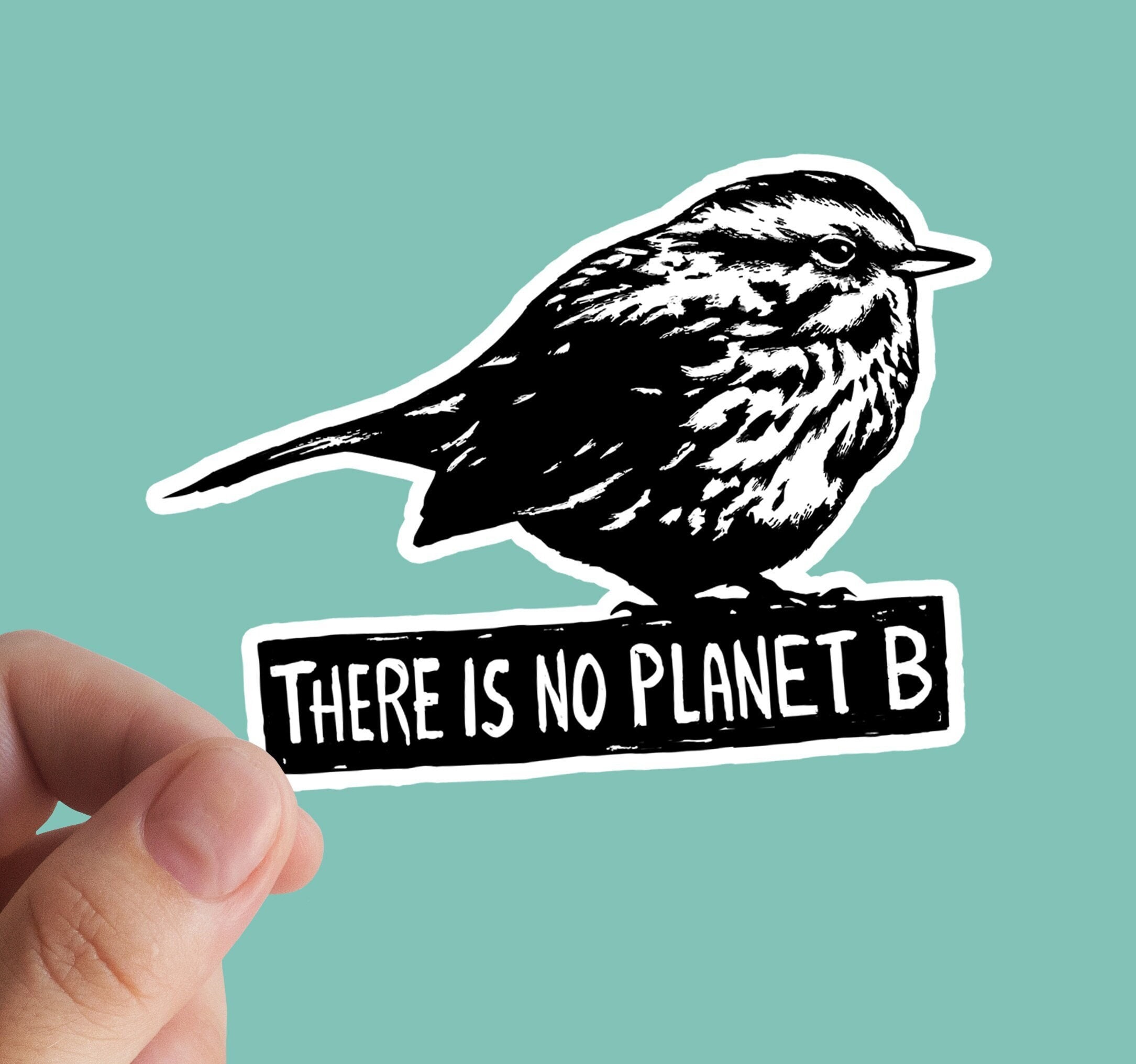 No Planet B Sticker Activist Rights Vinyl Sticker | Etsy