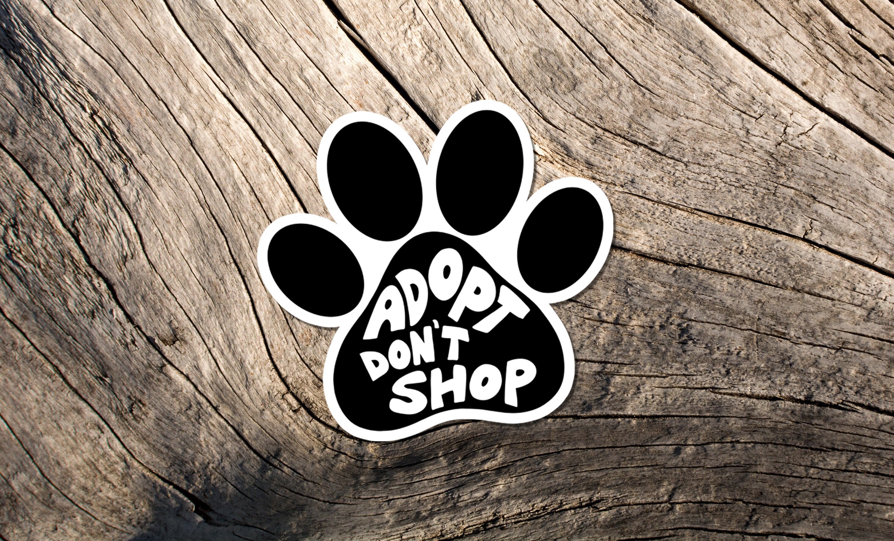Animal Rescue Sticker Adopt Don't Shop Animal Rights - Etsy