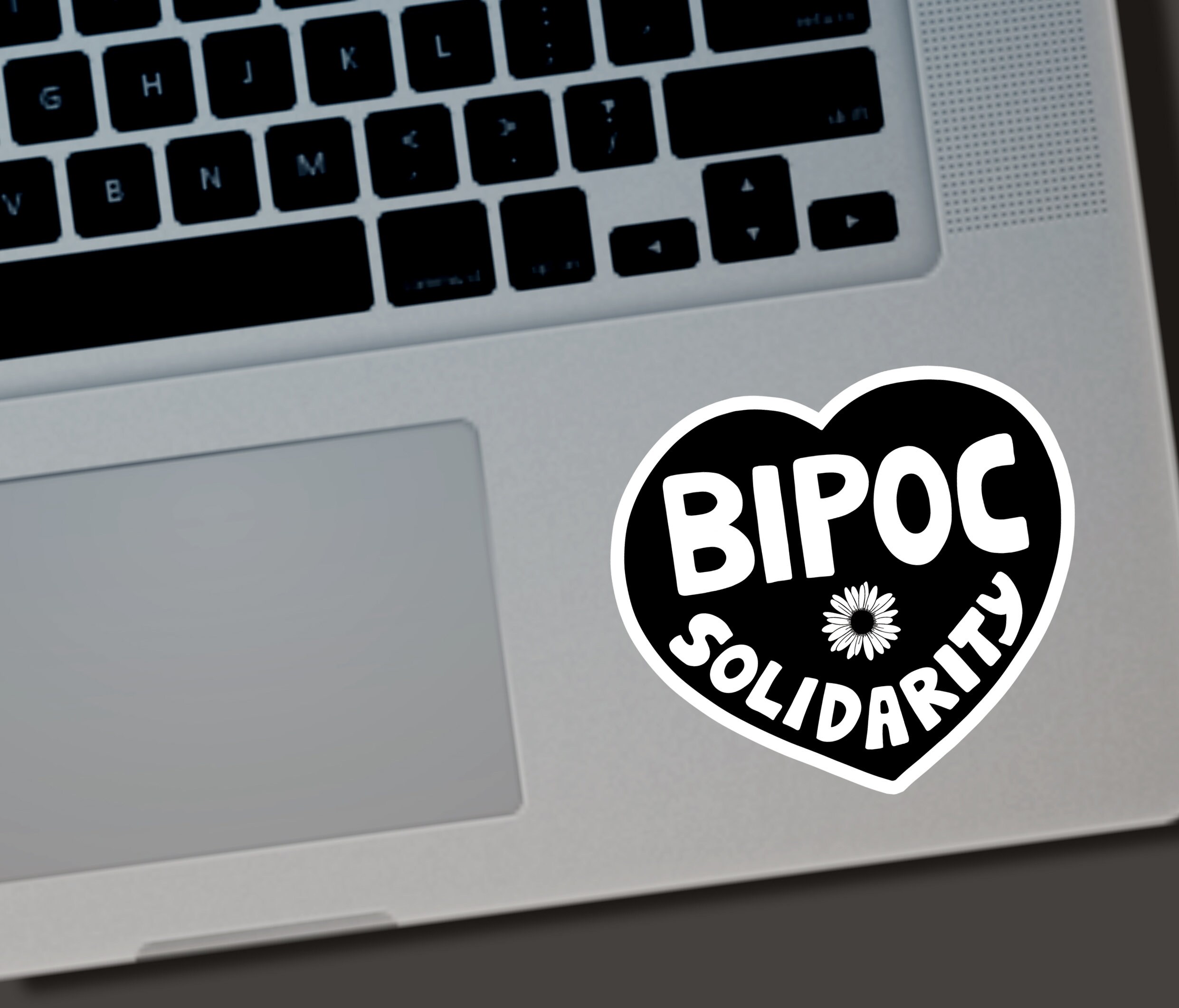 BIPOC Sticker Racism Indigenous People Socialist - Etsy