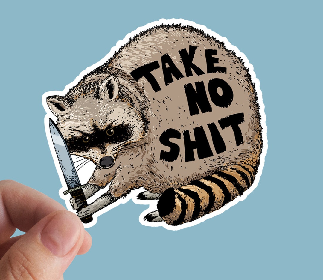 Take No Shit Sticker, No Bullying, Take No Shit, Anti Racism, Leftist ...