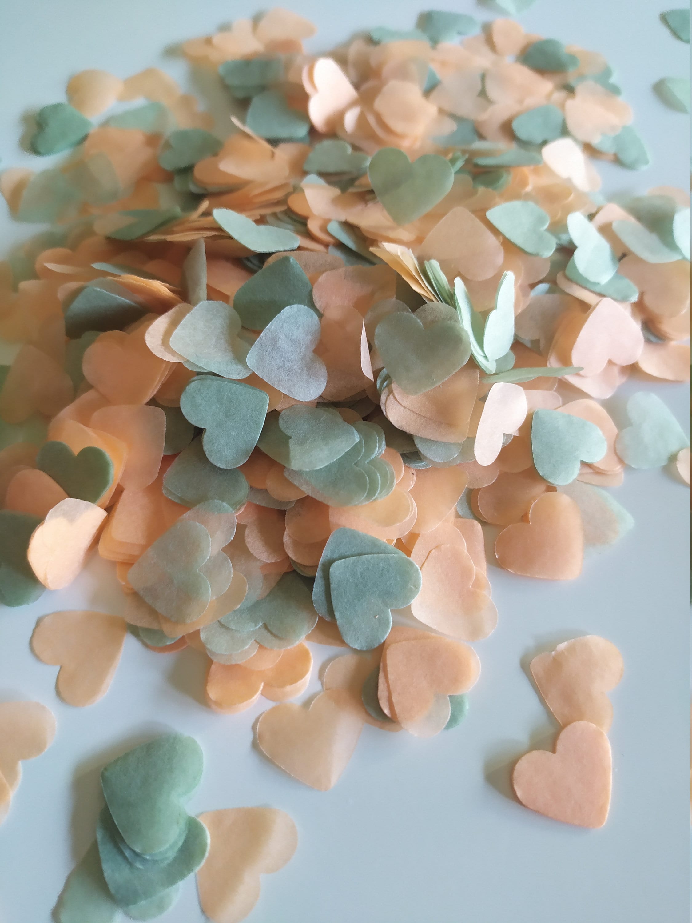 Confetti biodégradable confetti mariage mariage champêtre - Etsy France